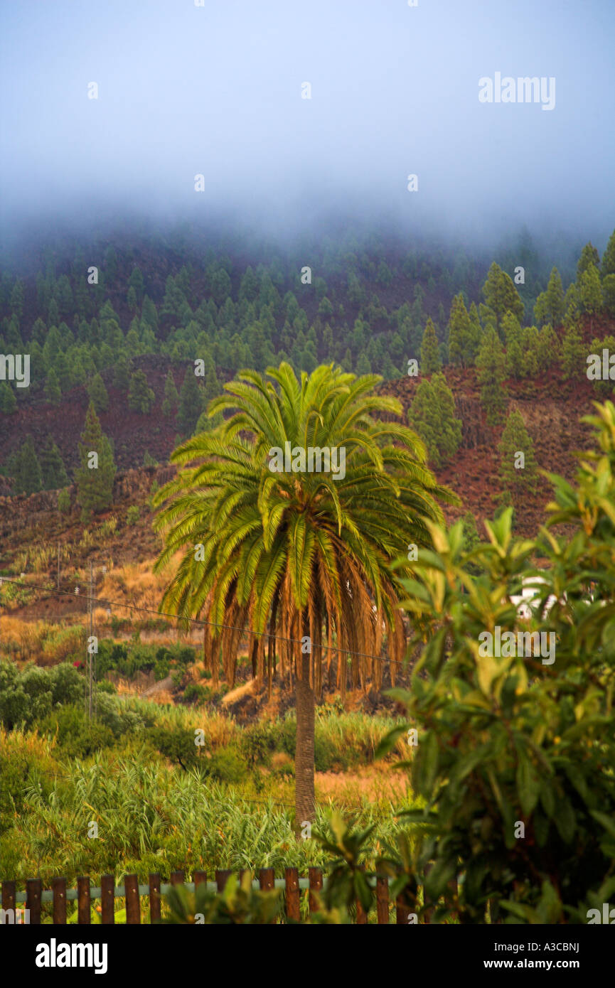 Regen in den Bergen Raining in the Mountains Stock Photo - Alamy