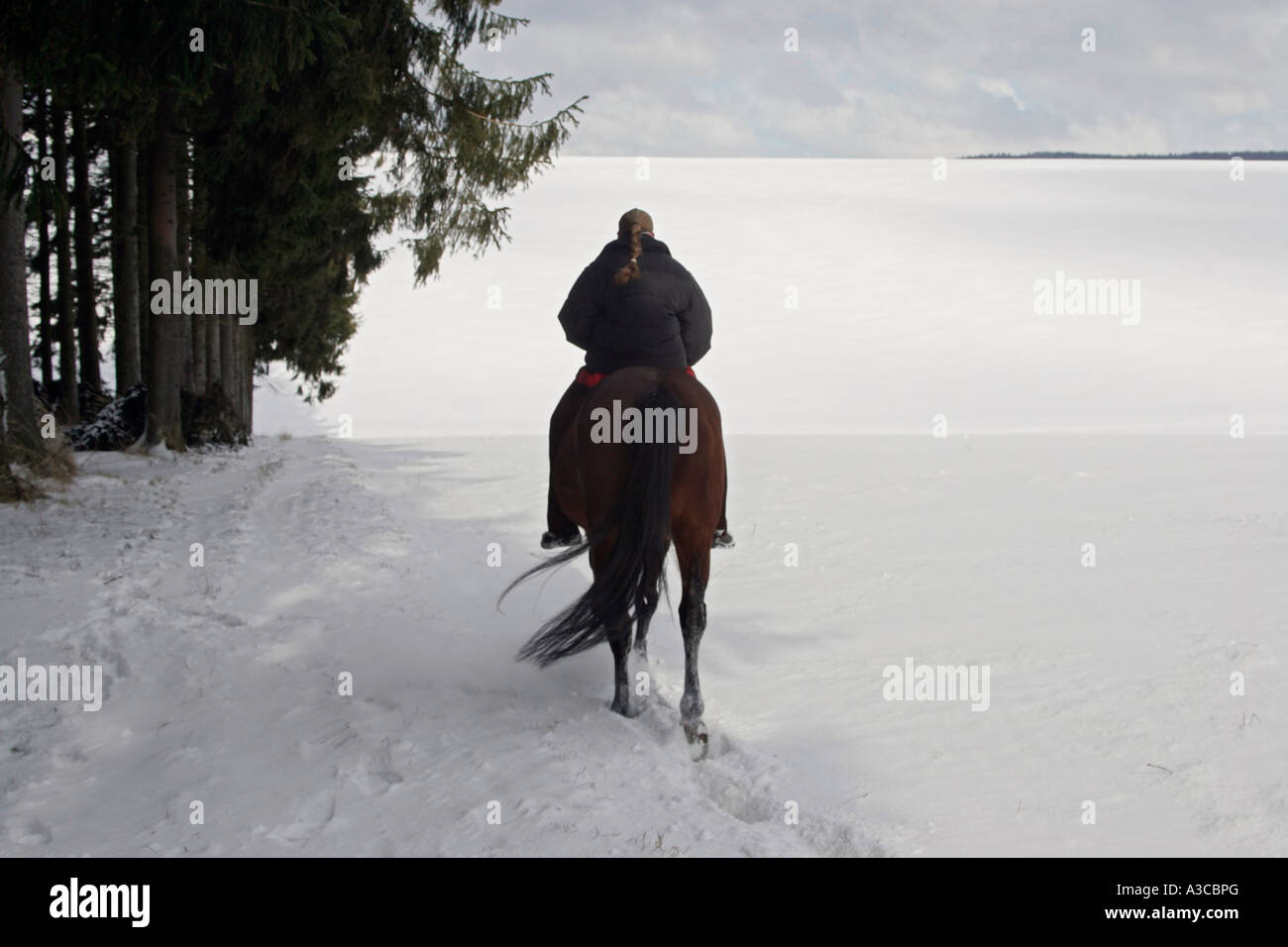 Reiterin High Resolution Stock Photography and Images - Alamy