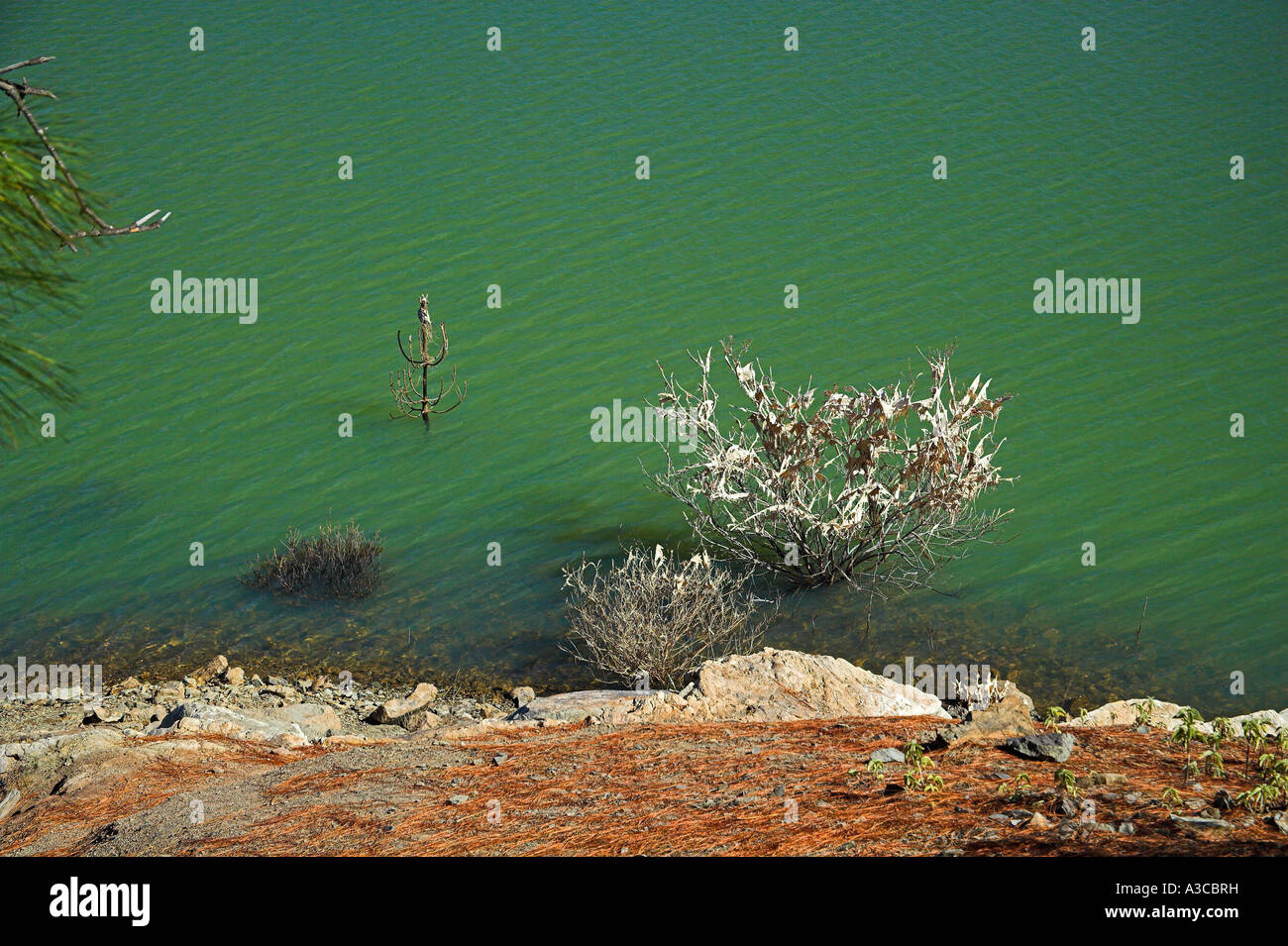 Chira dam hi-res stock photography and images - Alamy