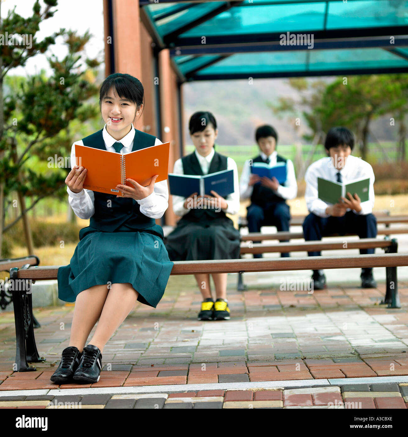 School students reading books hi-res stock photography and images - Alamy