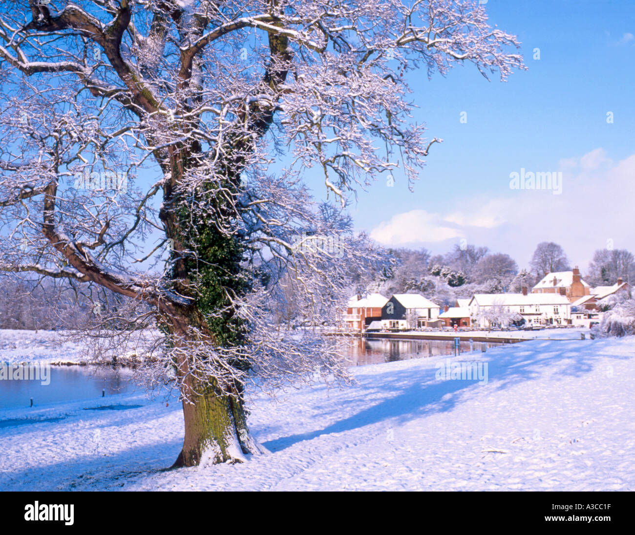 Pretty cold rural broadland snow landscape trees hi-res stock ...