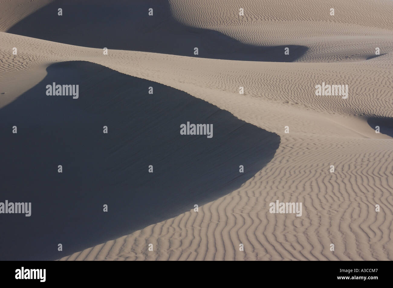 Oceano Sand Dunes Stock Photo - Alamy