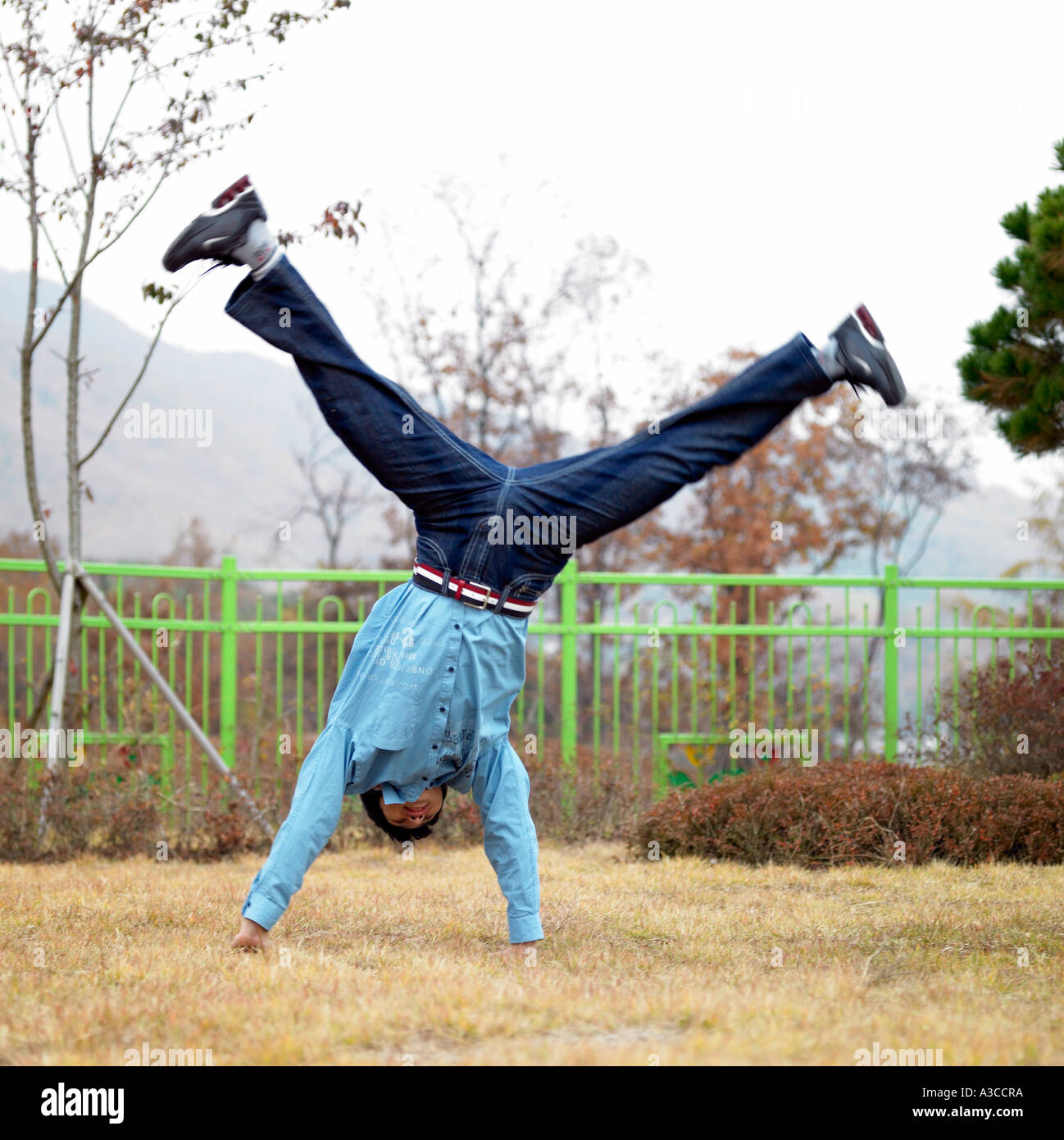 student doing hand-standing Stock Photo - Alamy