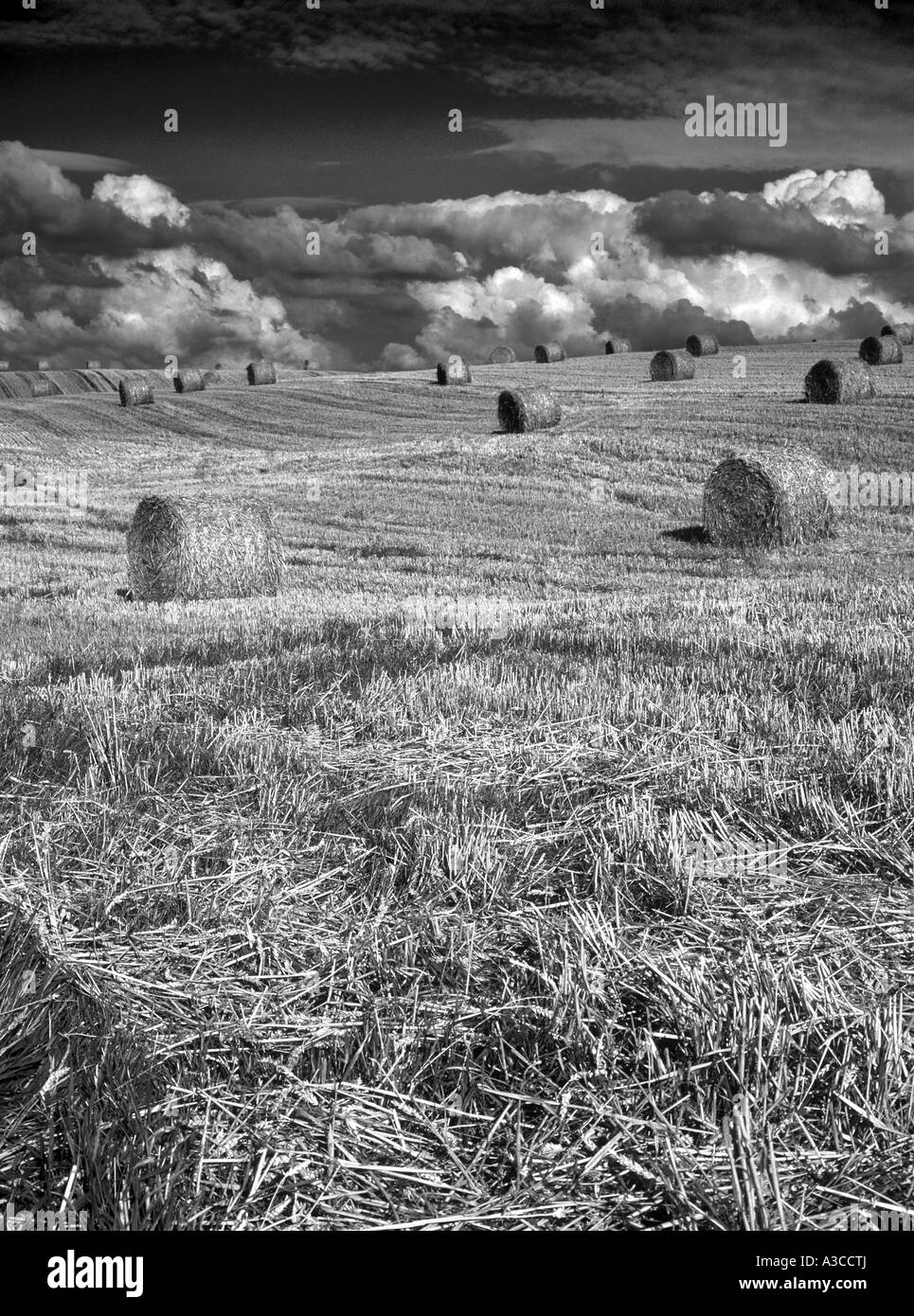 Uk hay Black and White Stock Photos & Images - Alamy