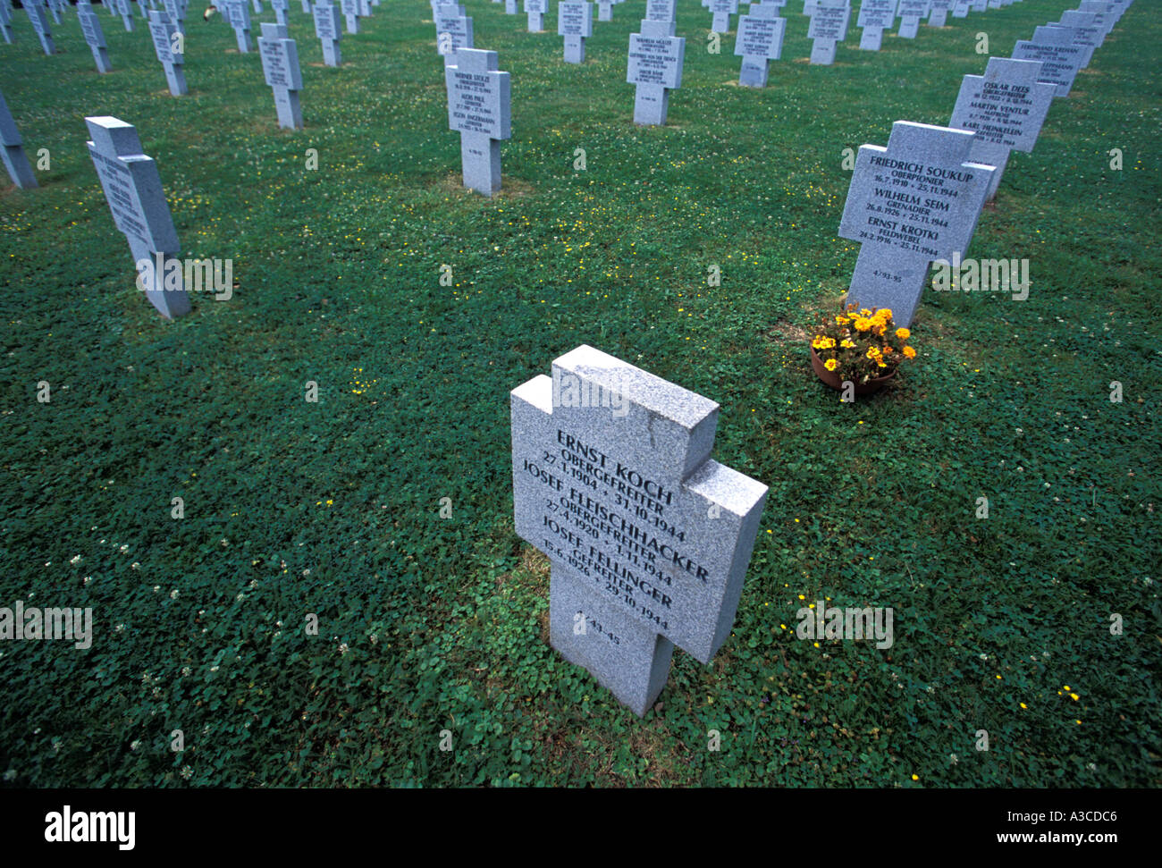 A World War II German cemetery near Bergheim, France Stock Photo - Alamy