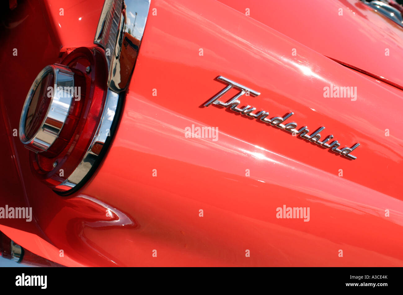 Thunderbird Car Logo