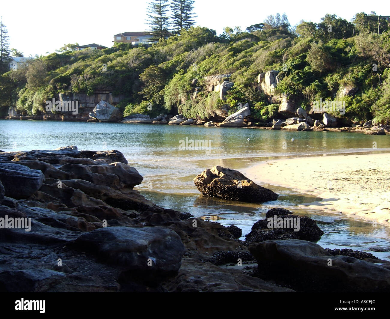Manly,Sydney New South Wales Australia Stock Photo - Alamy