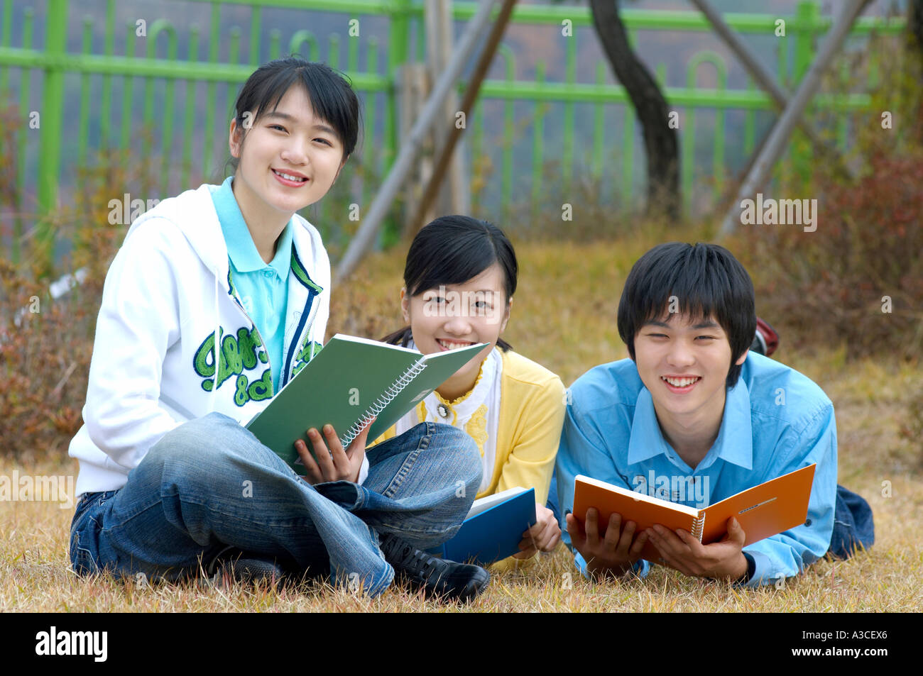 Trd022ta0001 hi-res stock photography and images - Alamy