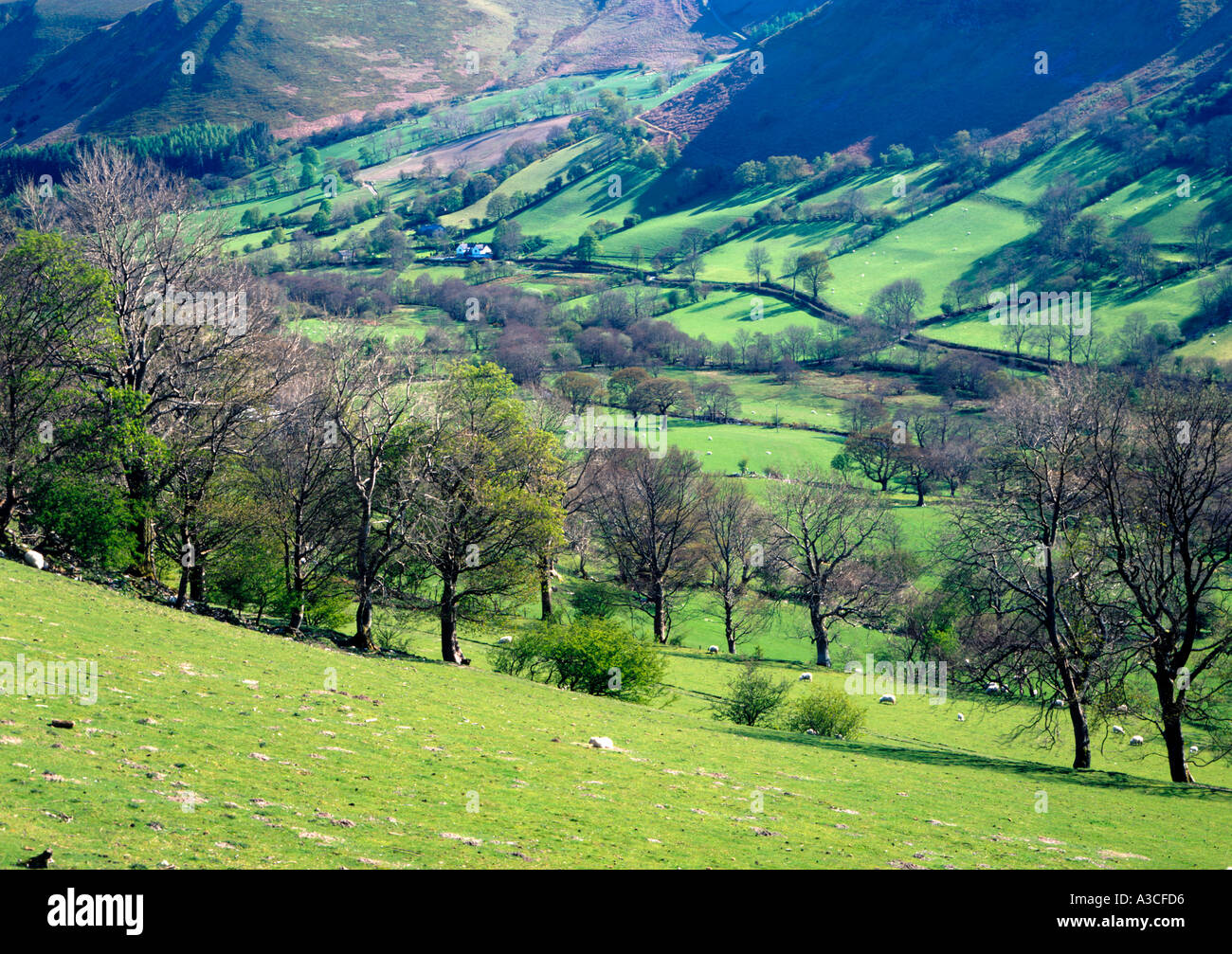 Tanat Valley Stock Photos & Tanat Valley Stock Images - Alamy