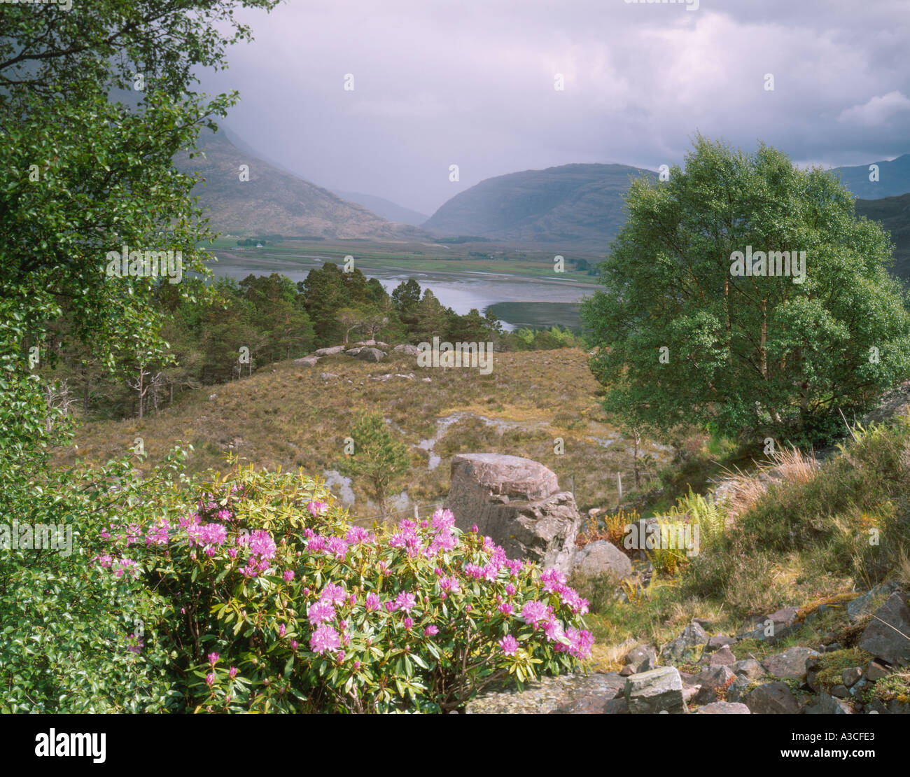 Annat hi-res stock photography and images - Alamy