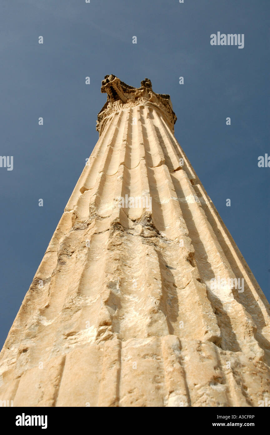 Column in ruins of Carthage, Tunisia Stock Photo - Alamy