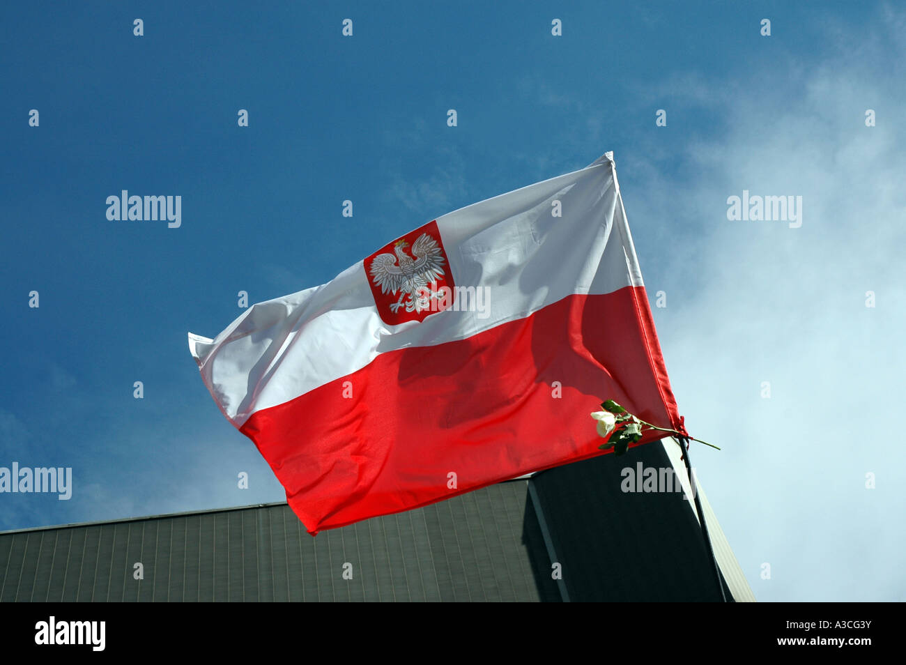Poland flag eagle hi-res stock photography and images - Alamy
