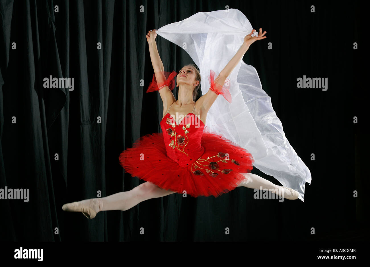 Ballerina Fly Ballet Dancer Choreographer Actress Actor Player Stage