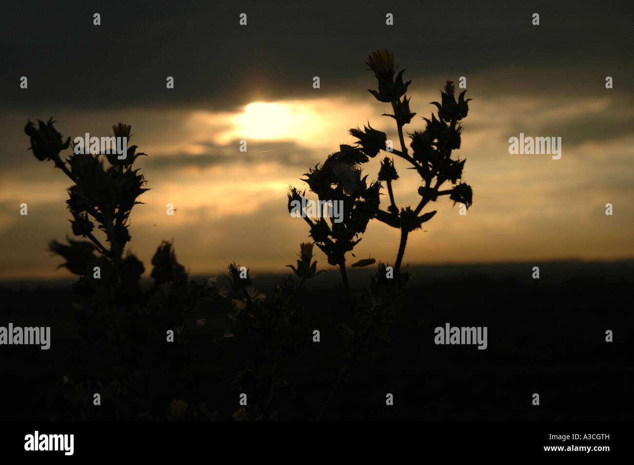 Sunset over english countryside in Bedfordshire Stock Photo - Alamy
