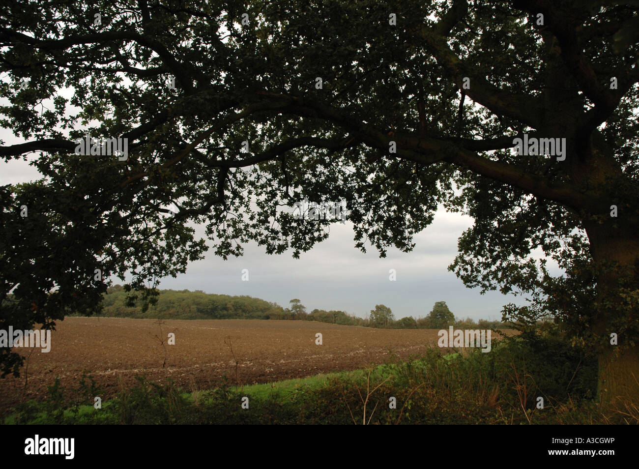 Countryside near Pulloxhill in Bedfordshire county, UK Stock Photo - Alamy