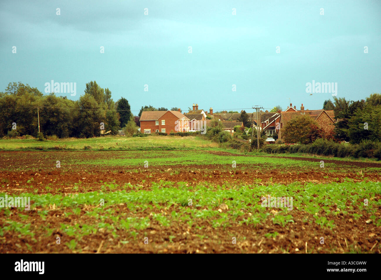 Countryside in Pulloxhill in Bedfordshire county, UK Stock Photo - Alamy