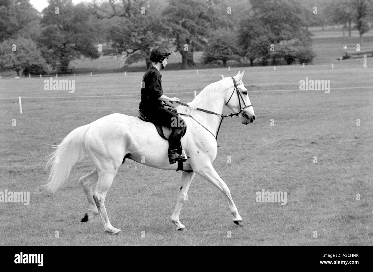 Princess anne hi-res stock photography and images - Alamy