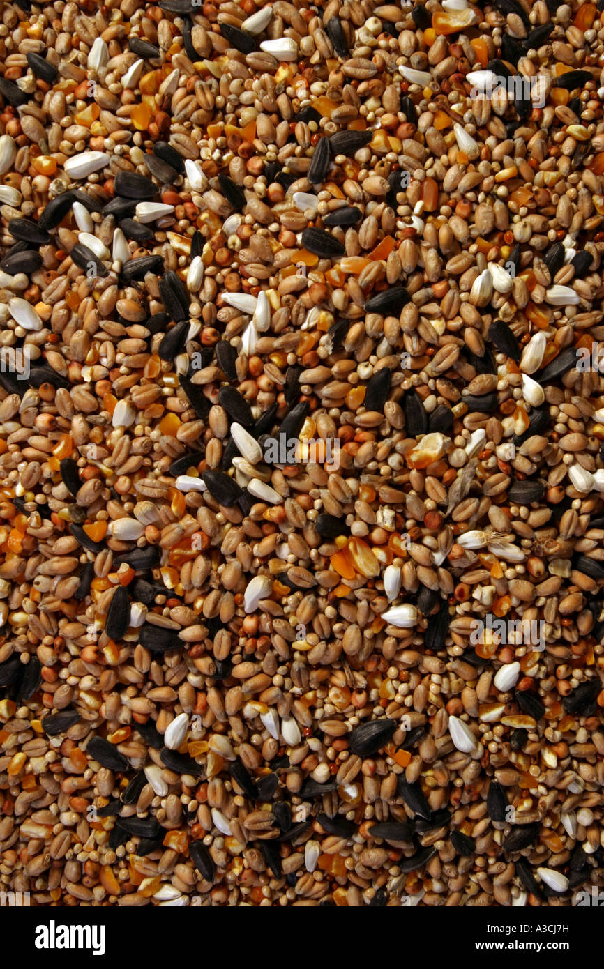 Wild bird seed Stock Photo - Alamy
