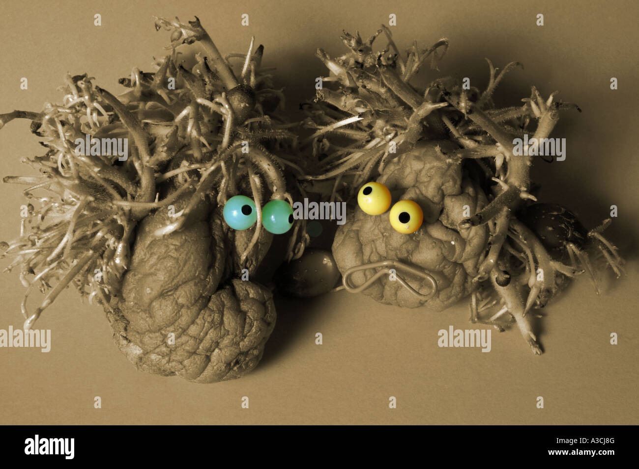 old potato faces with sprouting hair Stock Photo - Alamy