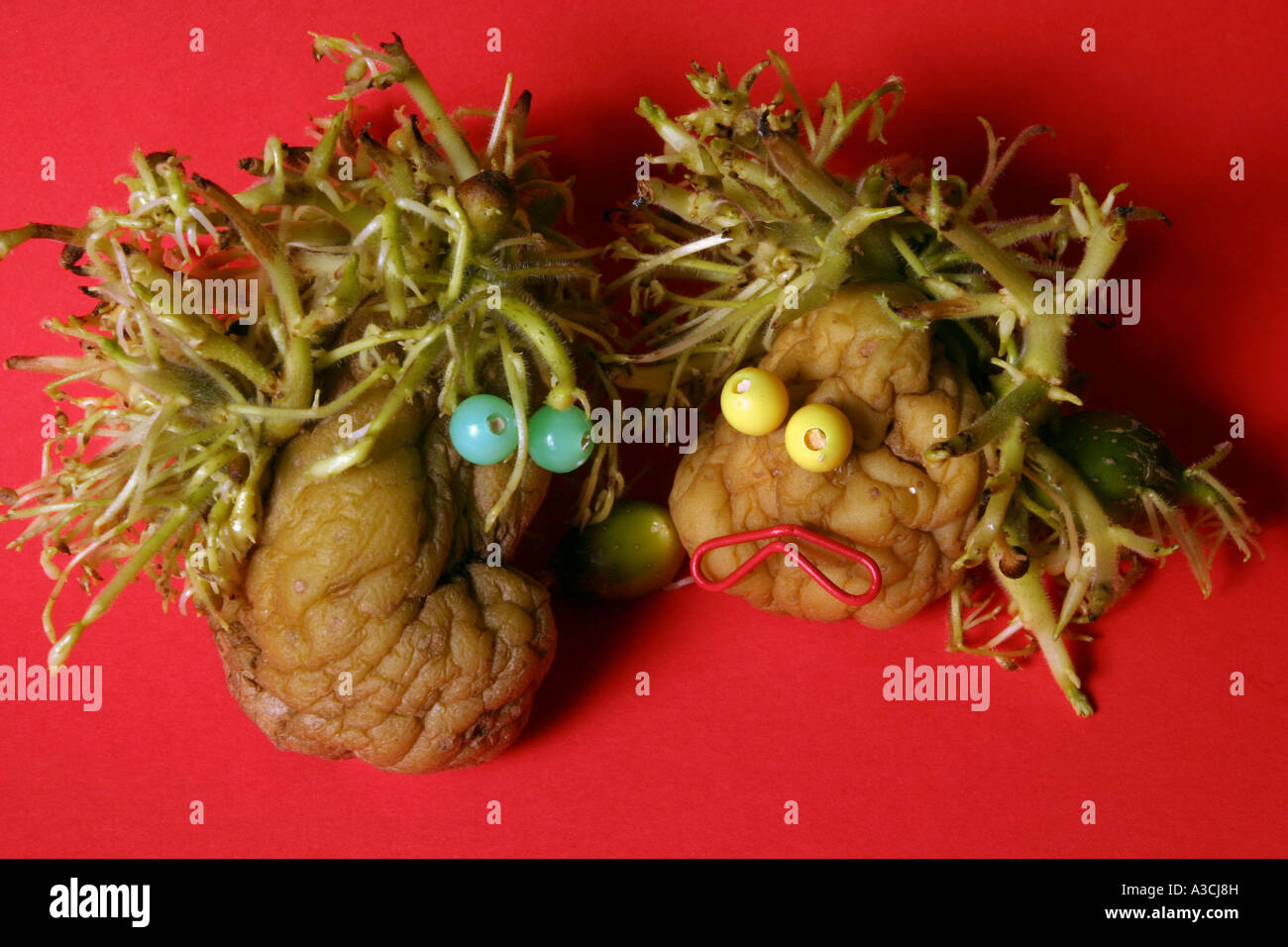old potato faces with sprouting hair Stock Photo - Alamy