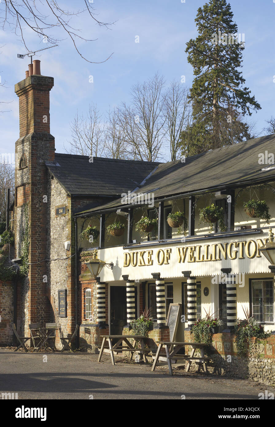 the Duke of Wellington an old coaching inn in East Horsley Surrey Stock ...