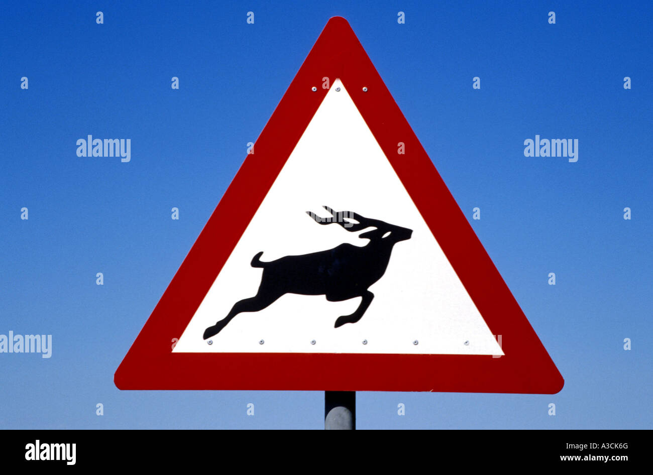 Sign attention kudu hi-res stock photography and images - Alamy