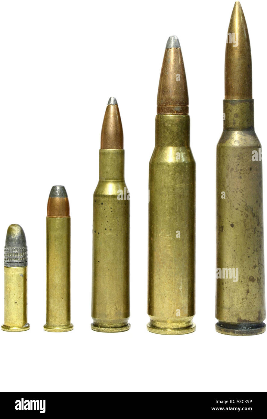 Line of cartridges in increasing sizes Stock Photo - Alamy