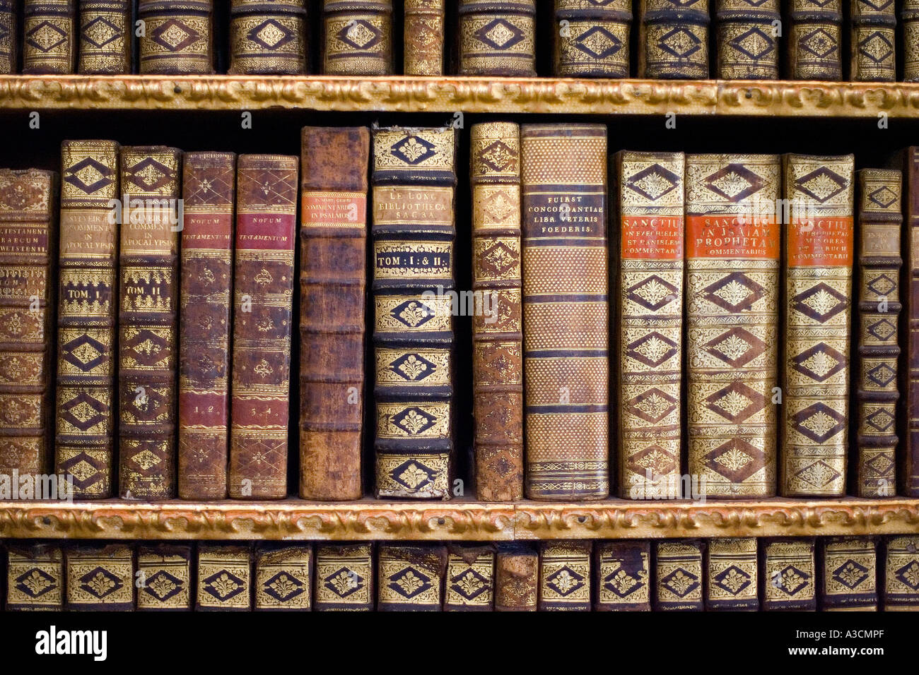 Latin language hi-res stock photography and images - Alamy