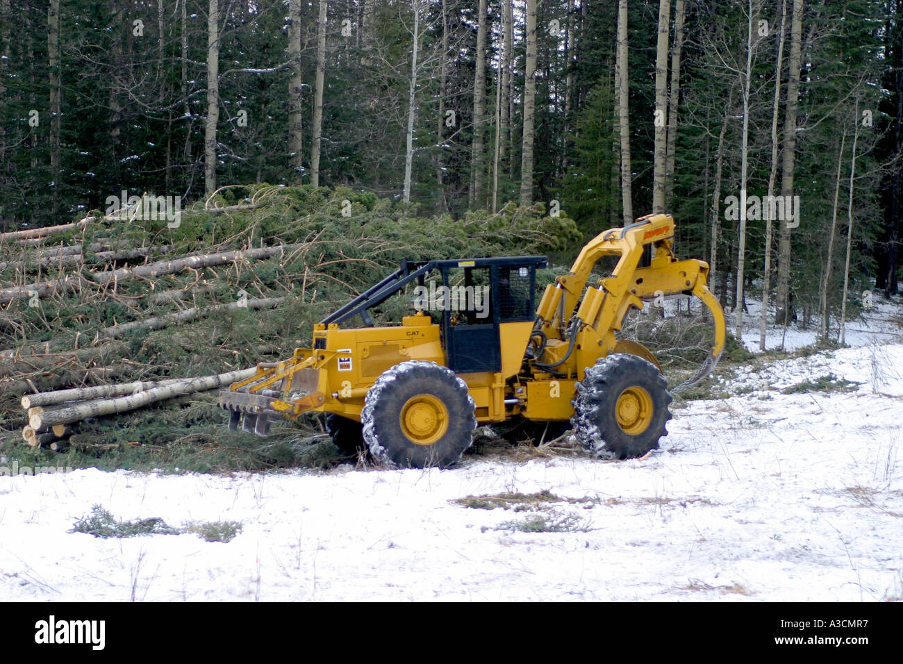 Skidder pulling cut trees hi-res stock photography and images - Alamy