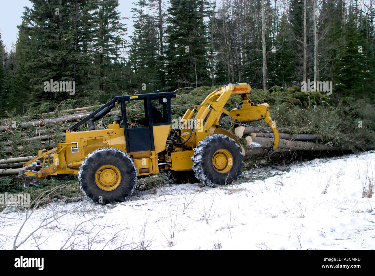 Skidder pulling cut trees hi-res stock photography and images - Alamy