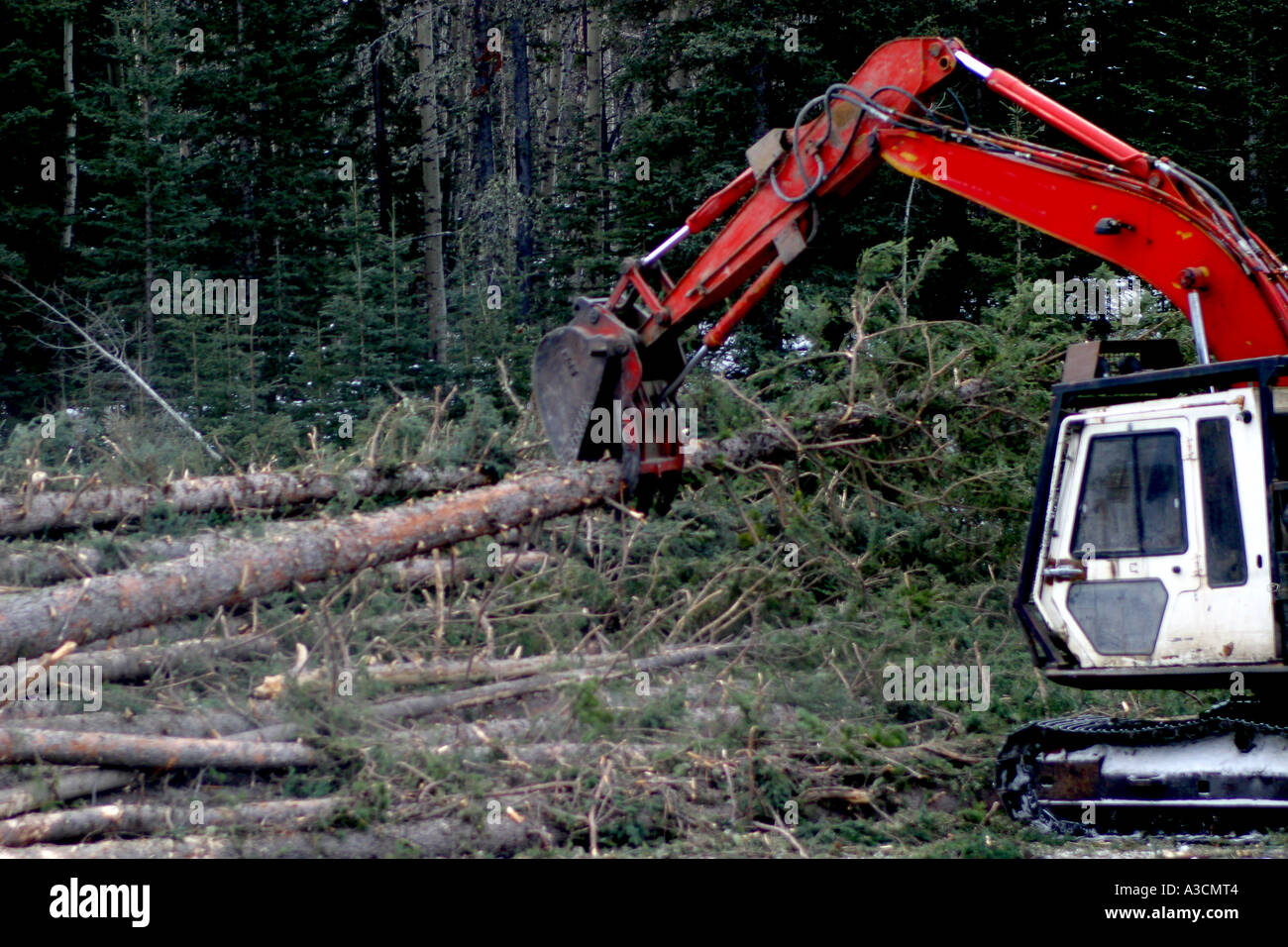 Logging industry; Loader backhoe Stock Photo - Alamy