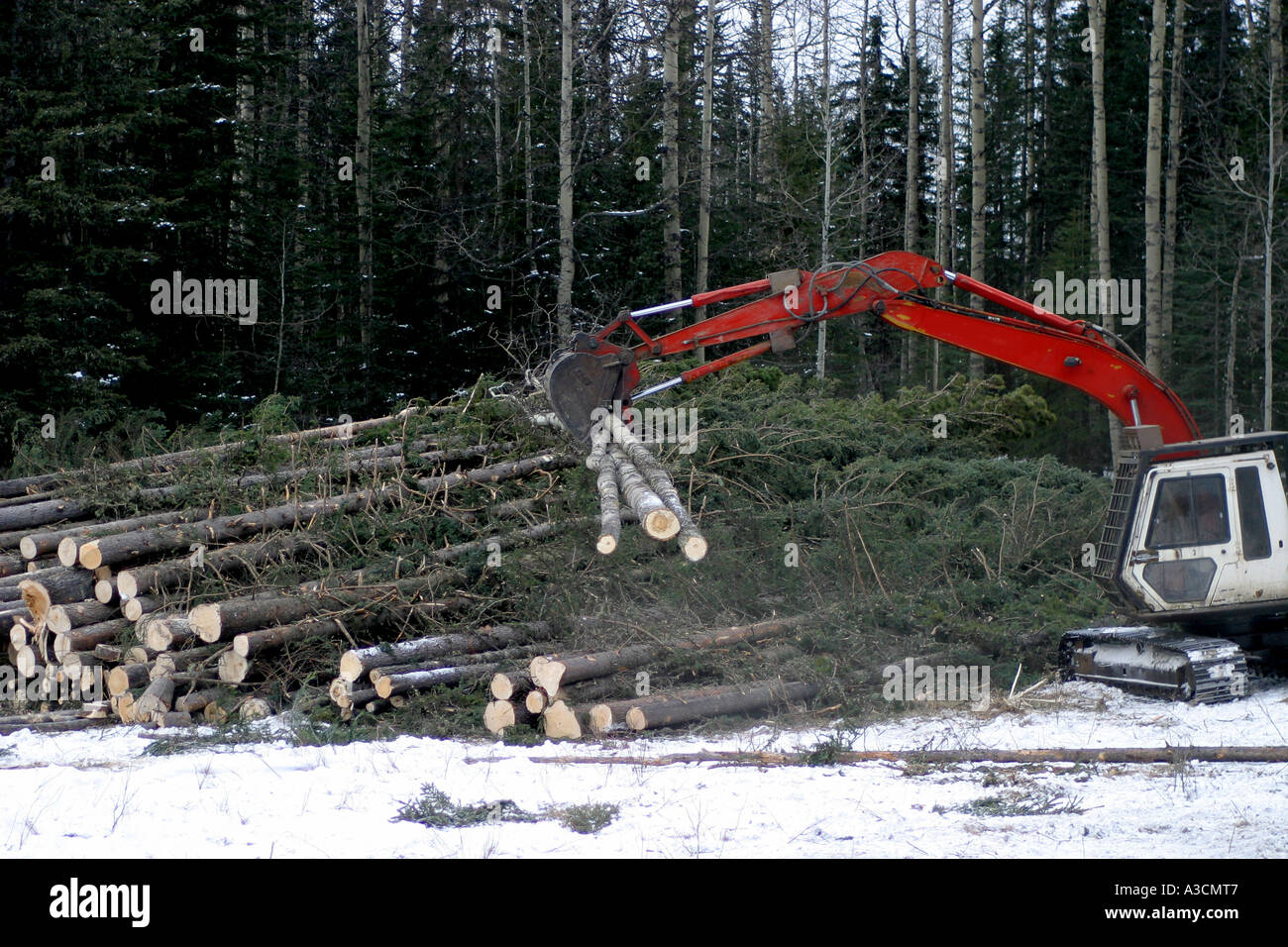Logging industry; Loader backhoe Stock Photo - Alamy