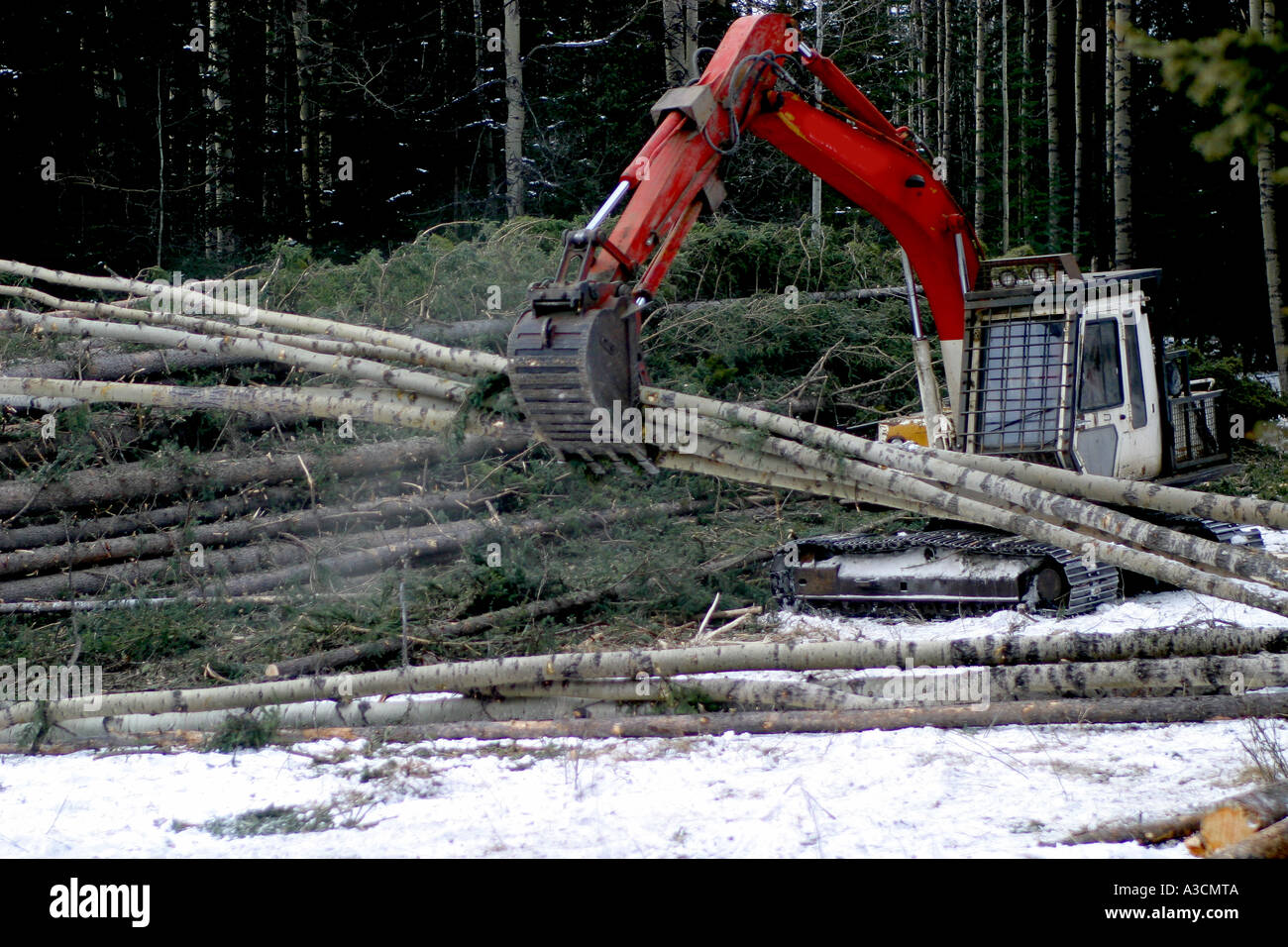Logging industry; Loader backhoe Stock Photo - Alamy