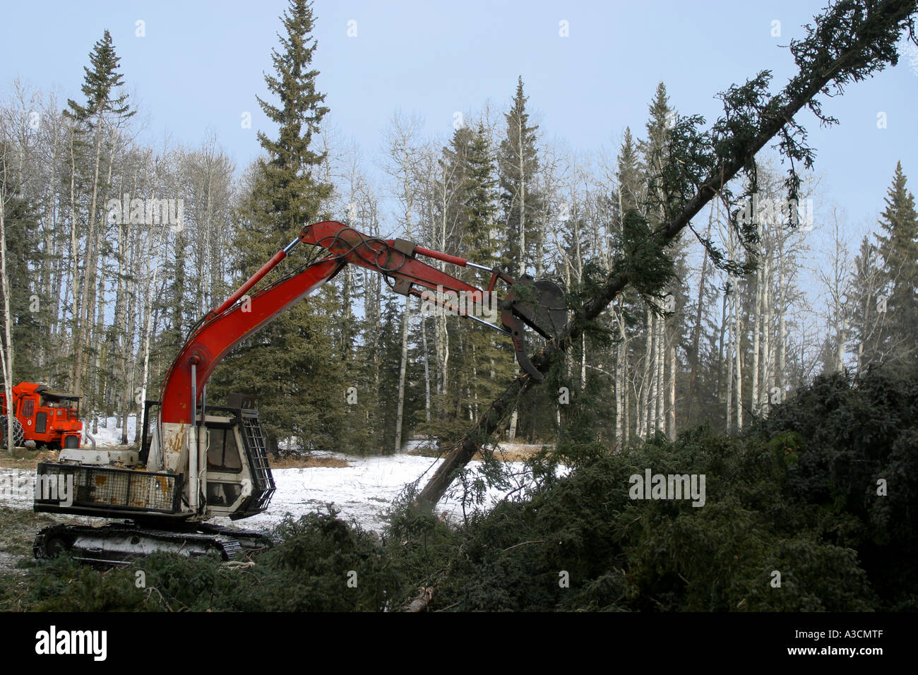 Logging industry; Loader backhoe Stock Photo - Alamy