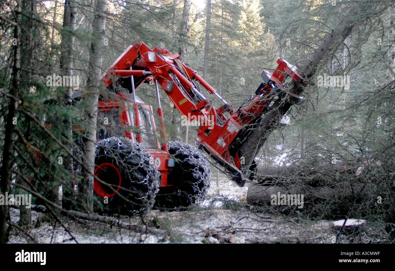 Logging industry Stock Photo - Alamy