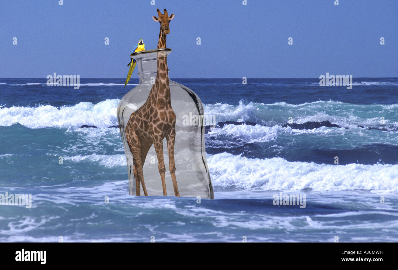 giraffe in a bottle on the ocean Stock Photo - Alamy
