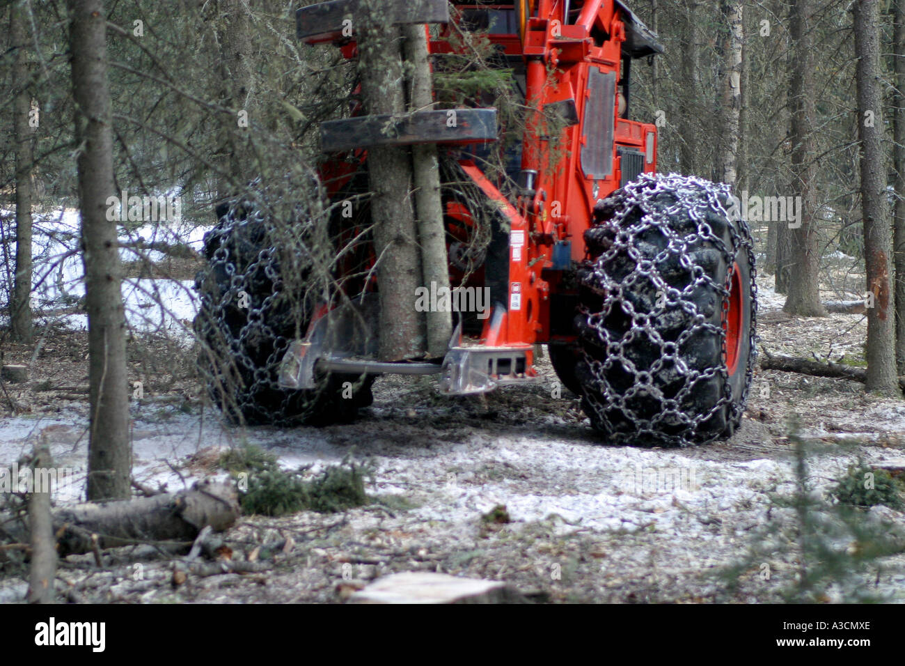 Logging industry Stock Photo - Alamy