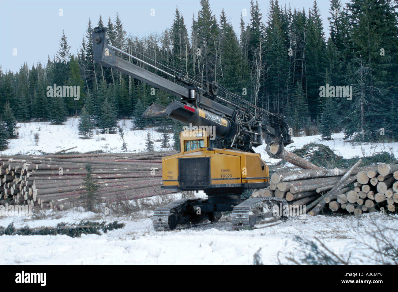 Logging industry Stock Photo - Alamy