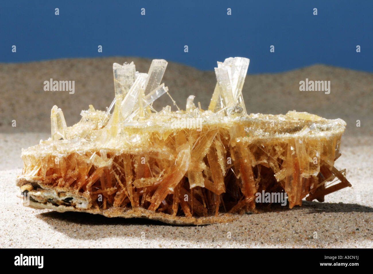 Plaster find hi-res stock photography and images - Alamy