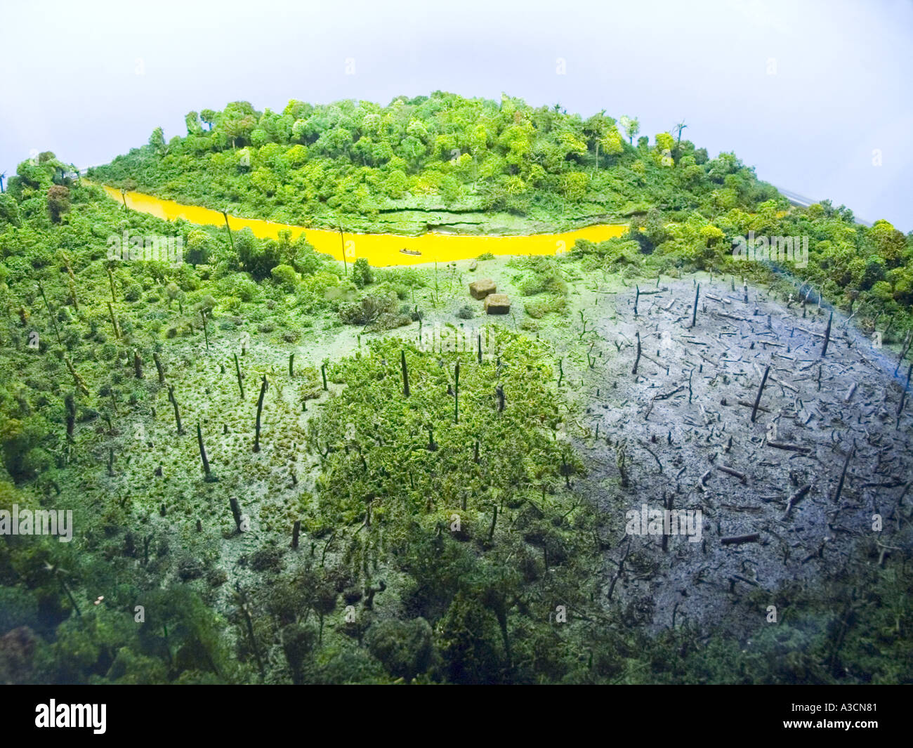 Forest deforest wood jungle environment nature plant cut timber green ...