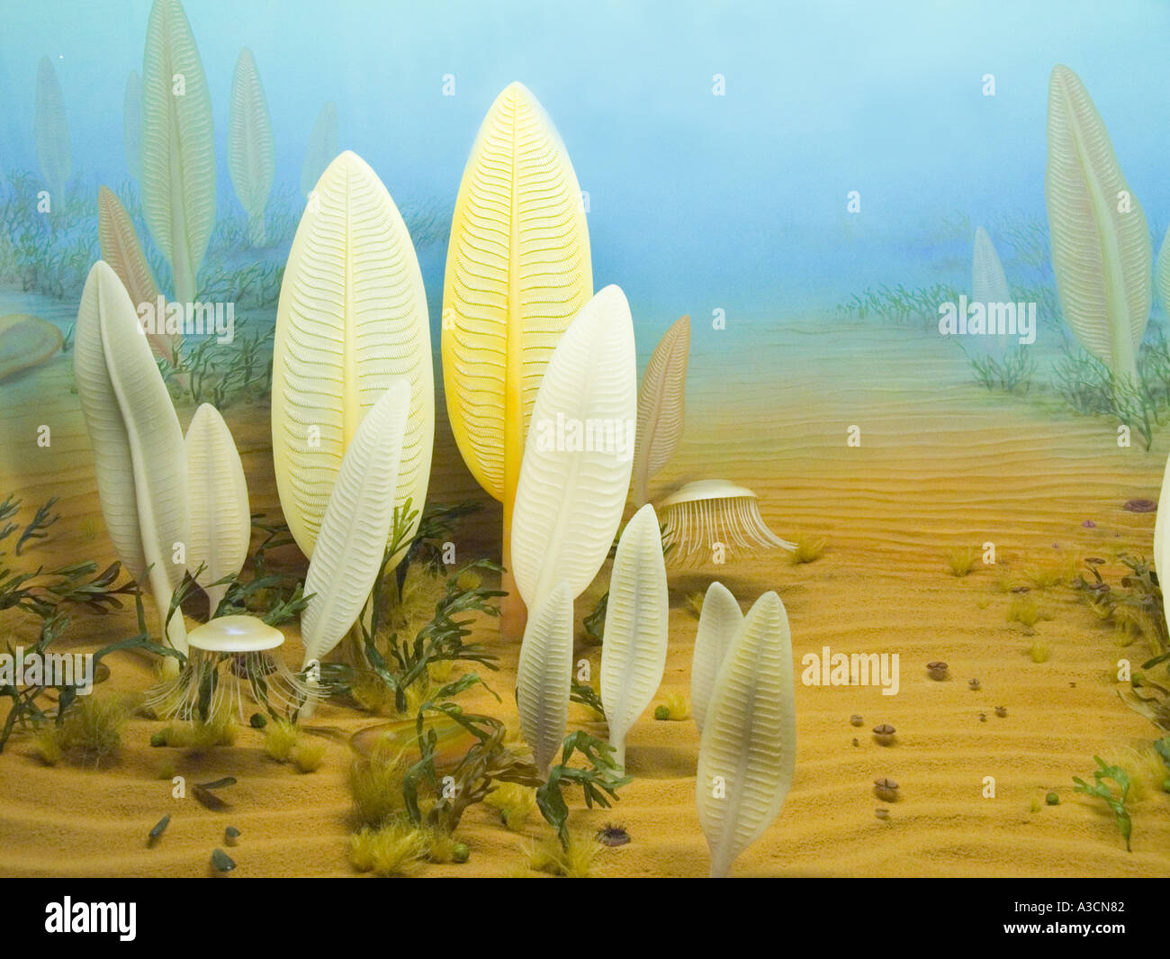 Underwater creature animal fish extinct extinction immitation danger ...