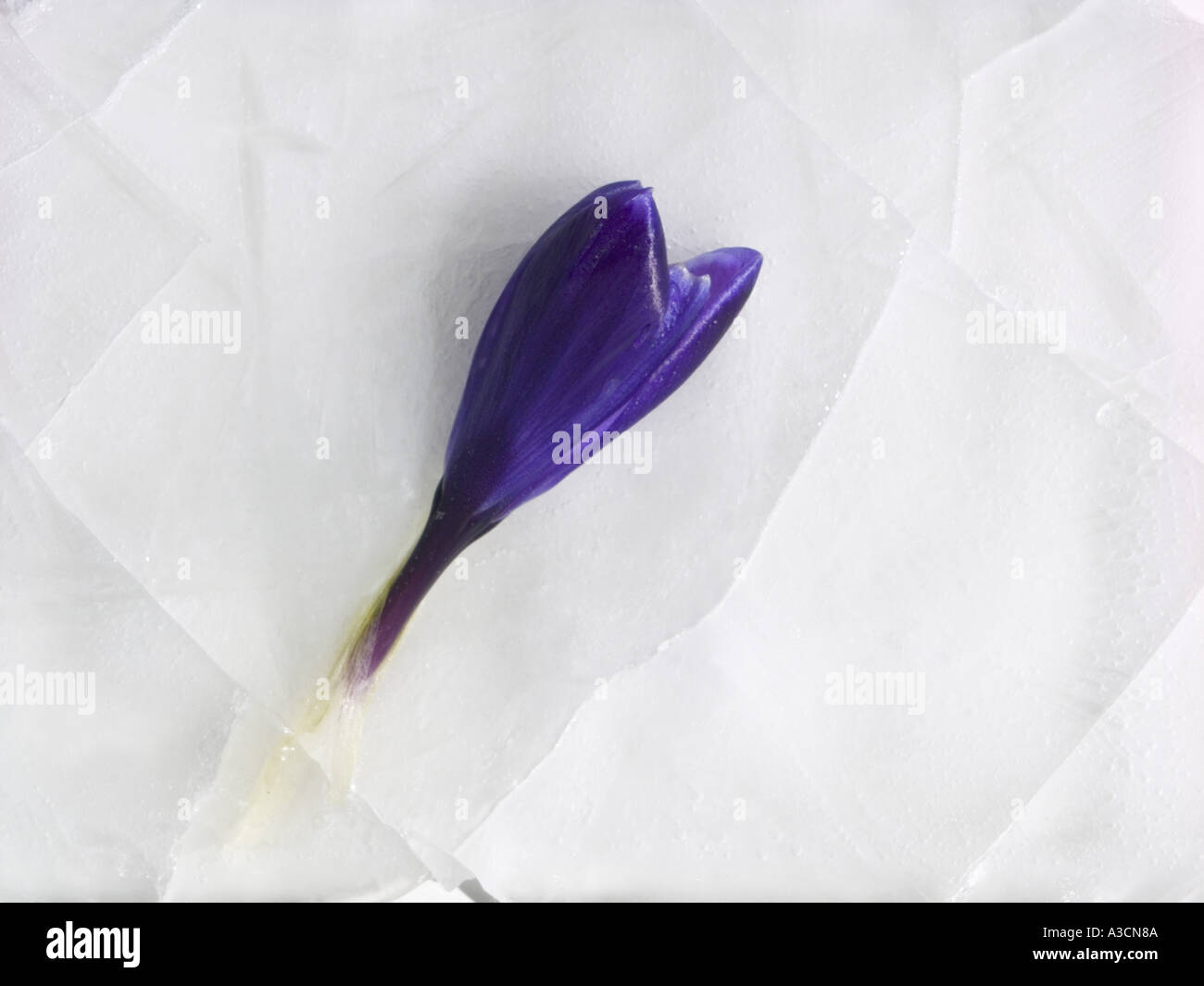 Park your broom sign hi-res stock photography and images - Alamy