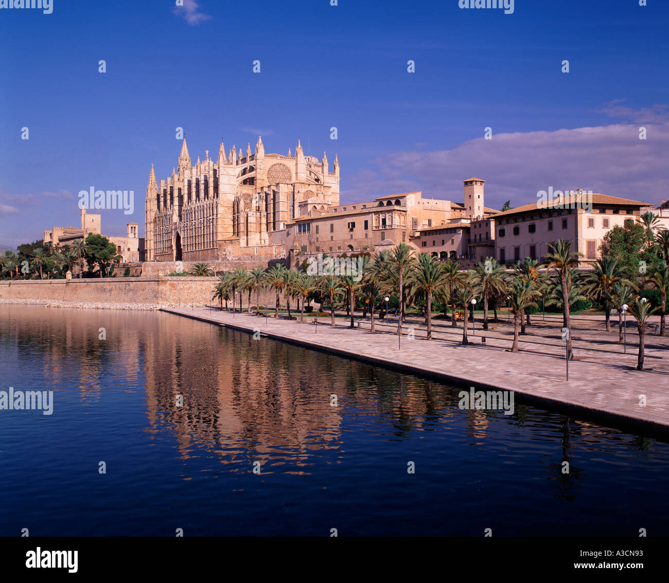 Palma Cathedral, Palma, Majorca, Spain Stock Photo - Alamy