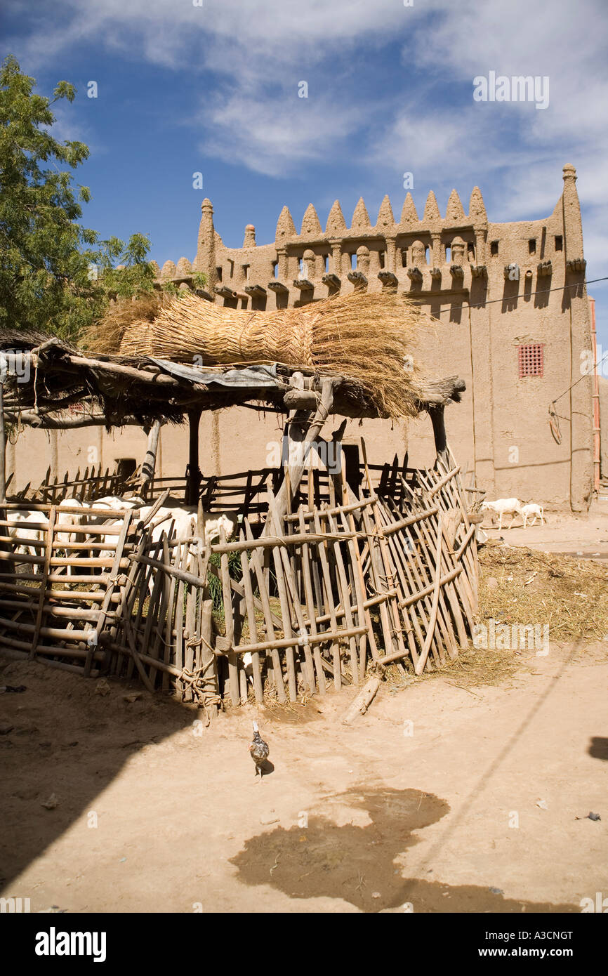 Africa african sheep mali hi-res stock photography and images - Alamy