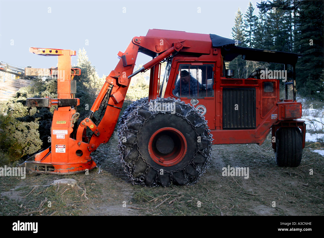 Logging industry Stock Photo - Alamy