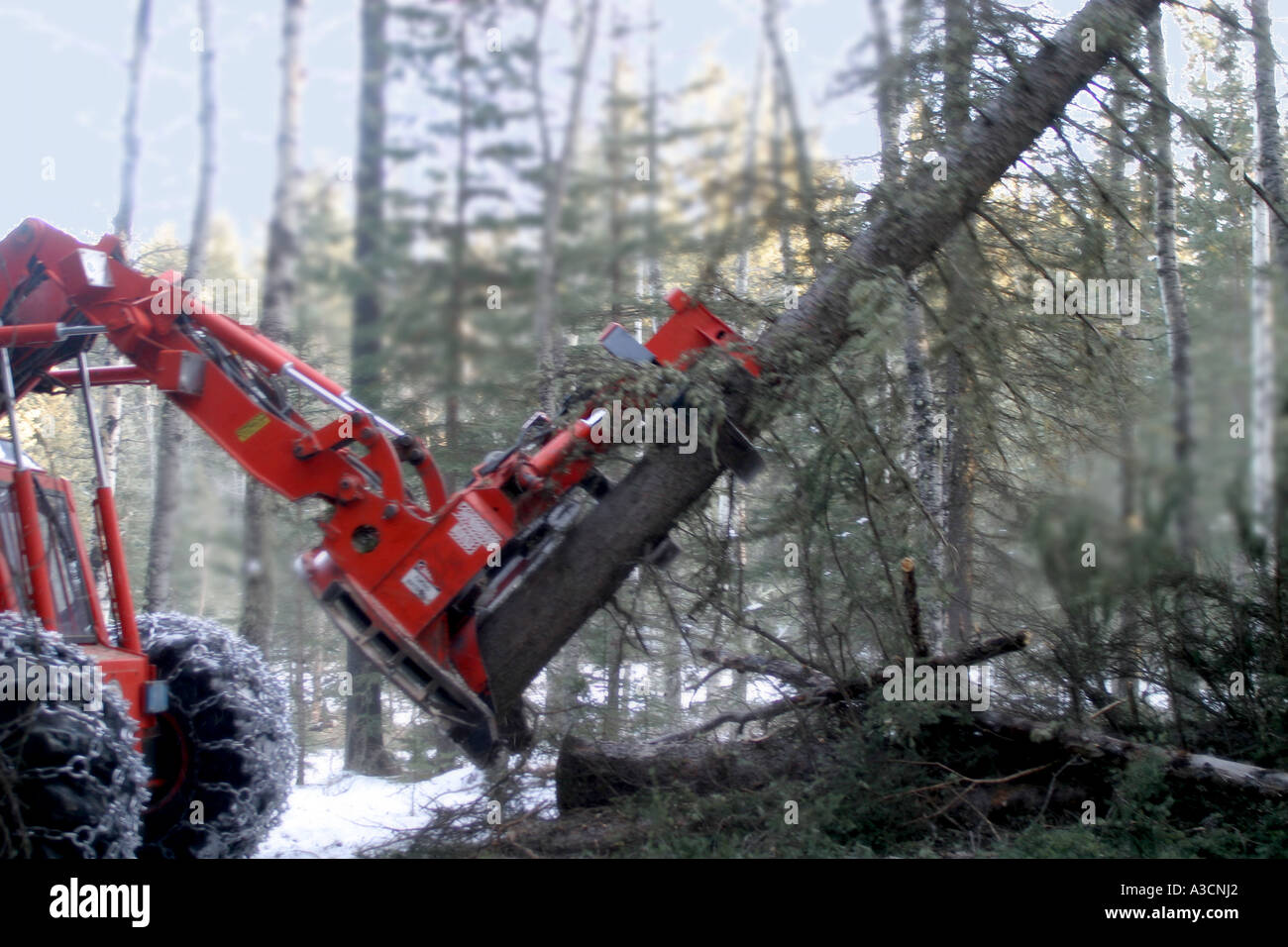 Feller buncher hi-res stock photography and images - Alamy