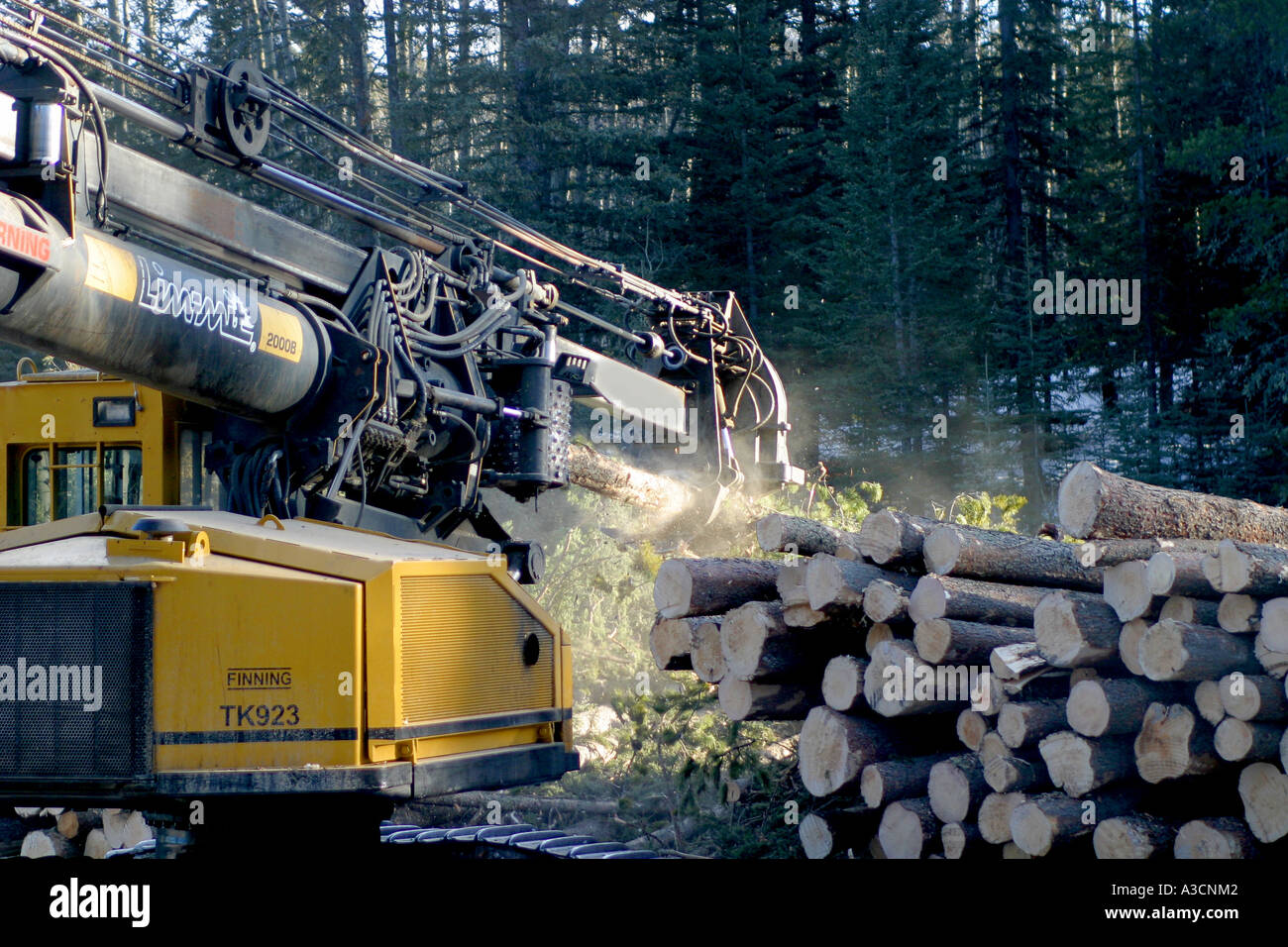 Delimber hi-res stock photography and images - Alamy