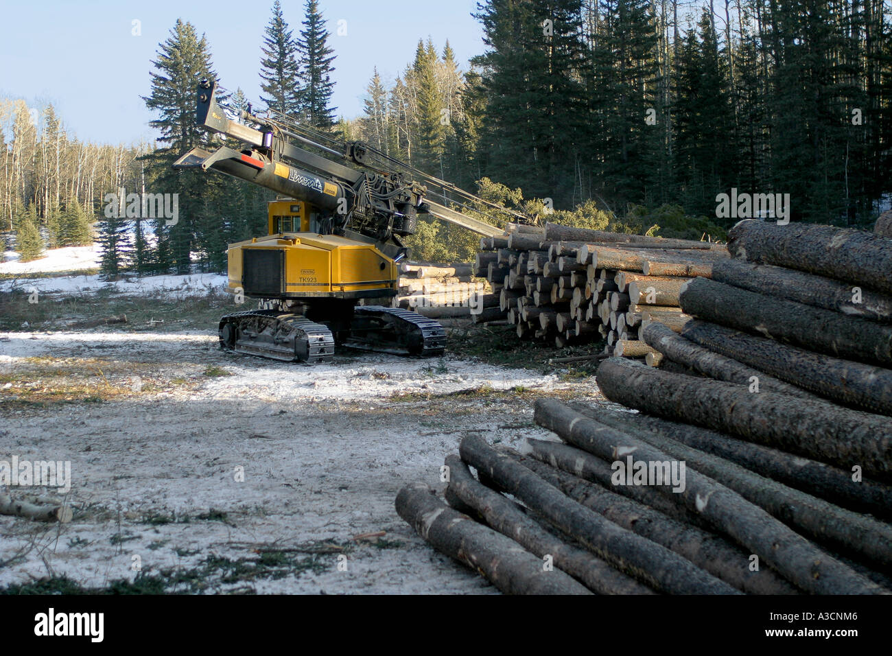 Delimber equipment machine hi-res stock photography and images - Alamy