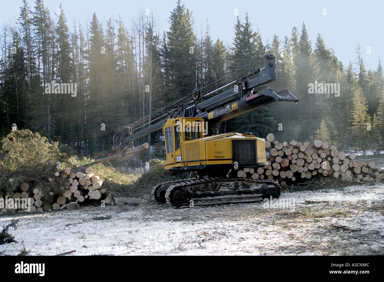 Logging industry Stock Photo - Alamy