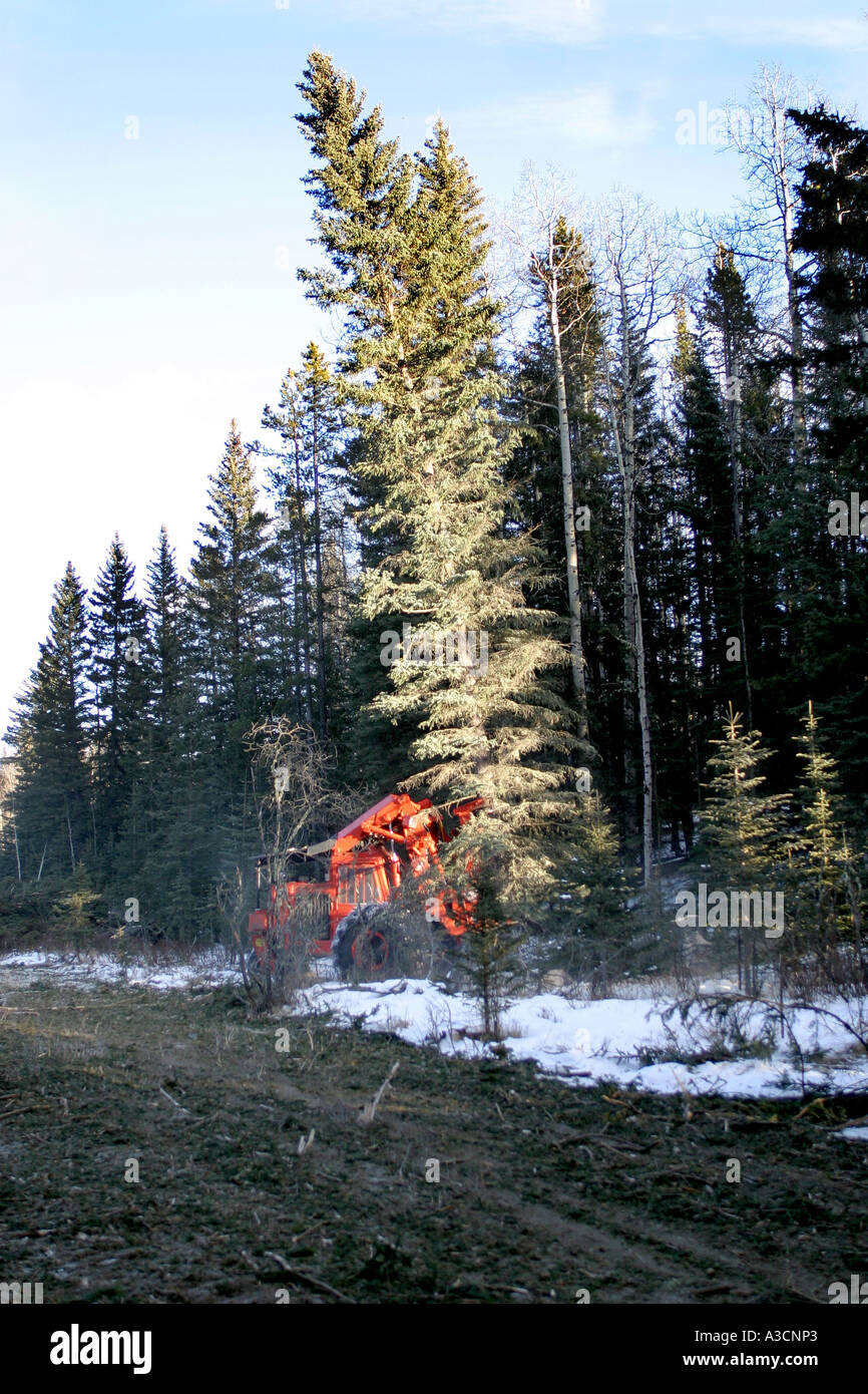 Logging industry Stock Photo - Alamy